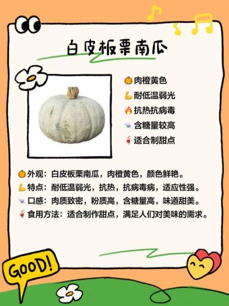 南瓜品种有哪些_如何区分常见南瓜-第3张图片-山城妙识 南瓜品种有哪些_如何区分常见南瓜-第3张图片-山城妙识