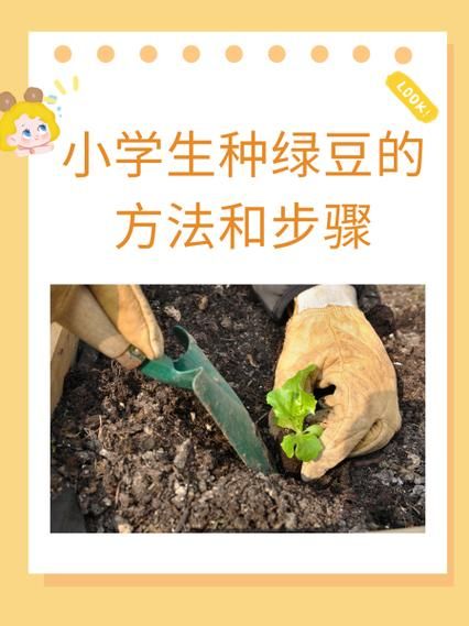 小学生杯子种绿豆步骤_绿豆几天发芽-第1张图片-山城妙识 小学生杯子种绿豆步骤_绿豆几天发芽-第1张图片-山城妙识