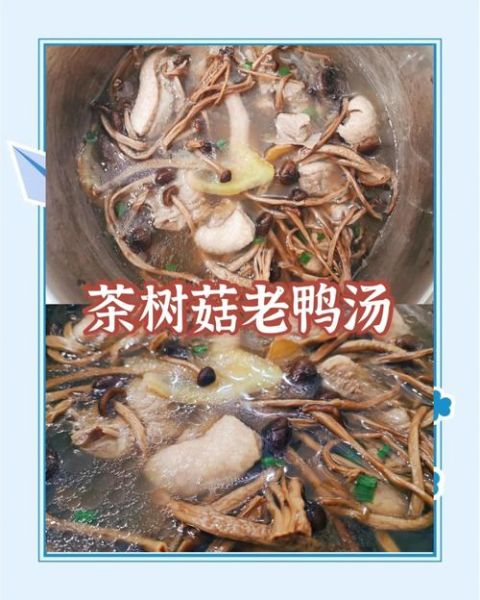 茶树菇老鸭汤的功效_适合哪些人喝-第1张图片-山城妙识