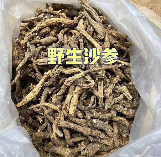 野生沙参长什么样_野生沙参和种植沙参区别-第3张图片-山城妙识