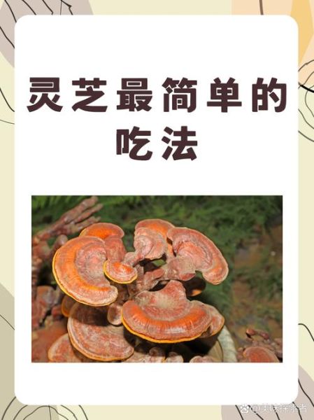 野生灵芝的功效与作用_野生灵芝怎么吃效果最好-第1张图片-山城妙识 野生灵芝的功效与作用_野生灵芝怎么吃效果最好-第1张图片-山城妙识