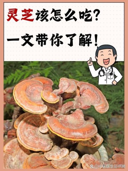 野生灵芝的功效与作用_野生灵芝怎么吃效果最好-第2张图片-山城妙识 野生灵芝的功效与作用_野生灵芝怎么吃效果最好-第2张图片-山城妙识