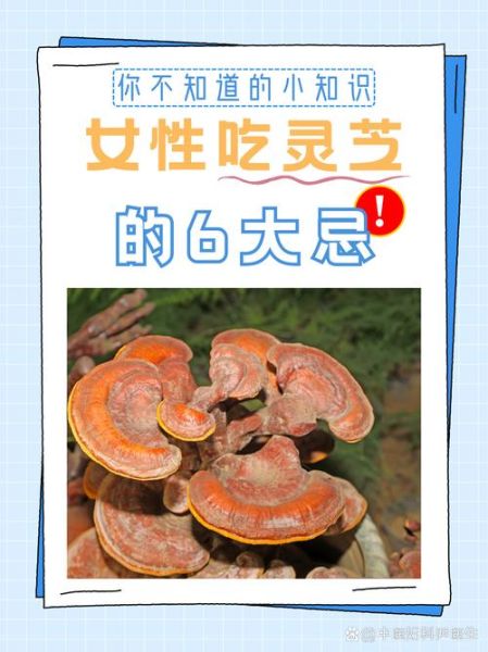 野生灵芝的功效与作用_野生灵芝怎么吃效果最好-第3张图片-山城妙识 野生灵芝的功效与作用_野生灵芝怎么吃效果最好-第3张图片-山城妙识