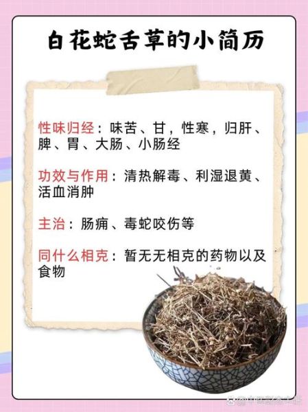半枝莲和白花蛇舌草的功效与作用_可以长期喝吗-第3张图片-山城妙识