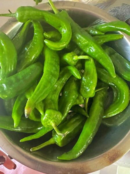 油咸菜怎么腌制_油咸菜的做法步骤-第3张图片-山城妙识