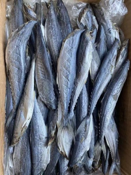 马鲛鱼干的营养价值_马鲛鱼干吃了会上火吗-第2张图片-山城妙识 马鲛鱼干的营养价值_马鲛鱼干吃了会上火吗-第2张图片-山城妙识