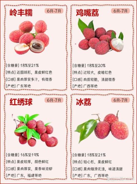 荔枝品种有哪些_如何挑选最好吃的荔枝-第3张图片-山城妙识 荔枝品种有哪些_如何挑选最好吃的荔枝-第3张图片-山城妙识