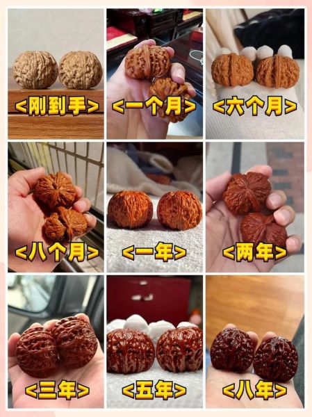 文玩核桃怎么上色快_包浆快的方法-第1张图片-山城妙识