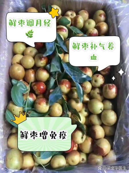 鲜枣是热性还是凉性_鲜枣吃多了会上火吗-第2张图片-山城妙识