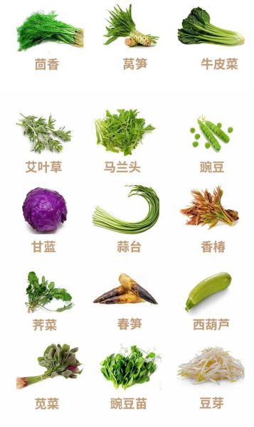 蔬菜名称有哪些_蔬菜种类大全-第3张图片-山城妙识 蔬菜名称有哪些_蔬菜种类大全-第3张图片-山城妙识