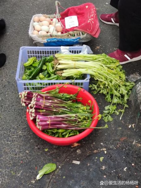 蔬菜生意刚开始怎么做_新手卖菜如何起步-第3张图片-山城妙识 蔬菜生意刚开始怎么做_新手卖菜如何起步-第3张图片-山城妙识
