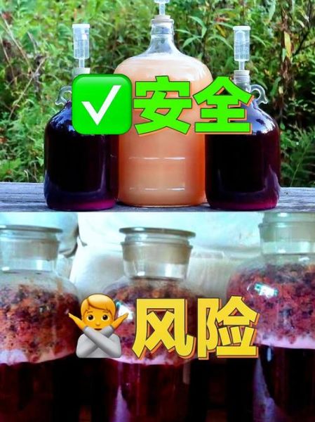 自酿葡萄酒怎么做_自酿葡萄酒的注意事项-第3张图片-山城妙识