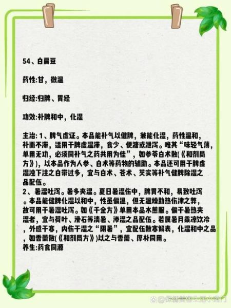 白扁豆的功效与作用_白扁豆怎么吃最健脾-第3张图片-山城妙识 白扁豆的功效与作用_白扁豆怎么吃最健脾-第3张图片-山城妙识