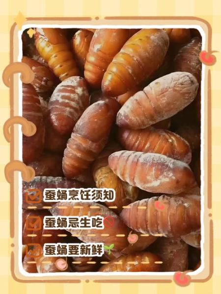 蚕蛹一天吃多少合适_蚕蛹每日摄入量-第2张图片-山城妙识 蚕蛹一天吃多少合适_蚕蛹每日摄入量-第2张图片-山城妙识