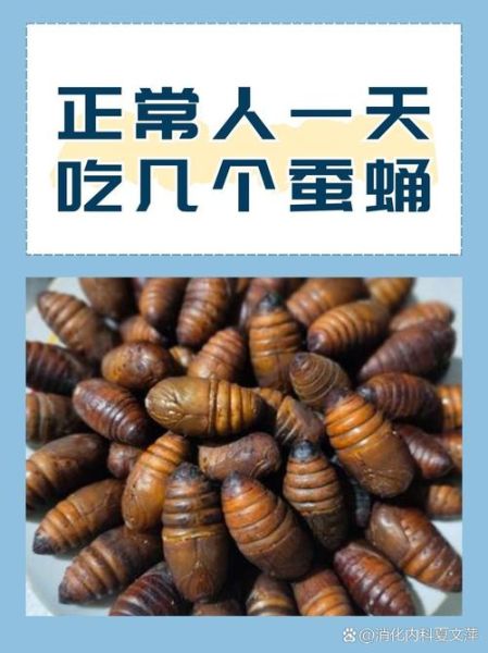 蚕蛹一天吃多少合适_蚕蛹每日摄入量-第1张图片-山城妙识 蚕蛹一天吃多少合适_蚕蛹每日摄入量-第1张图片-山城妙识