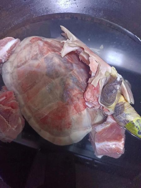 土茯苓煲龟禁忌_哪些人不能吃-第2张图片-山城妙识 土茯苓煲龟禁忌_哪些人不能吃-第2张图片-山城妙识