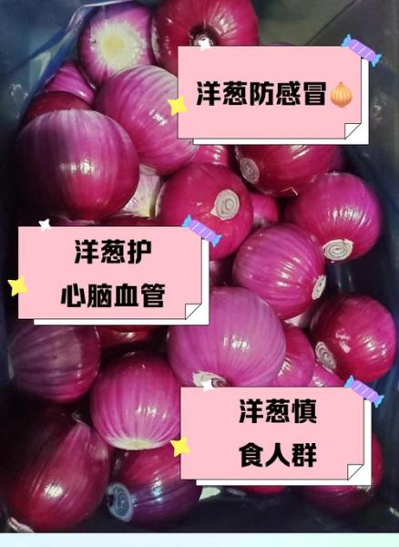 女人长期吃洋葱好吗_洋葱对女性的好处与坏处-第1张图片-山城妙识 女人长期吃洋葱好吗_洋葱对女性的好处与坏处-第1张图片-山城妙识