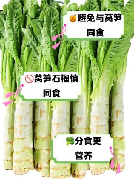 莴笋不能和什么一起吃_莴笋的禁忌人群有哪些-第3张图片-山城妙识 莴笋不能和什么一起吃_莴笋的禁忌人群有哪些-第3张图片-山城妙识