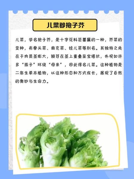 儿菜焯水还是不焯水_口感营养哪个更重要-第1张图片-山城妙识 儿菜焯水还是不焯水_口感营养哪个更重要-第1张图片-山城妙识