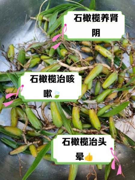 野生石橄榄图片_石橄榄怎么辨别真假-第3张图片-山城妙识 野生石橄榄图片_石橄榄怎么辨别真假-第3张图片-山城妙识