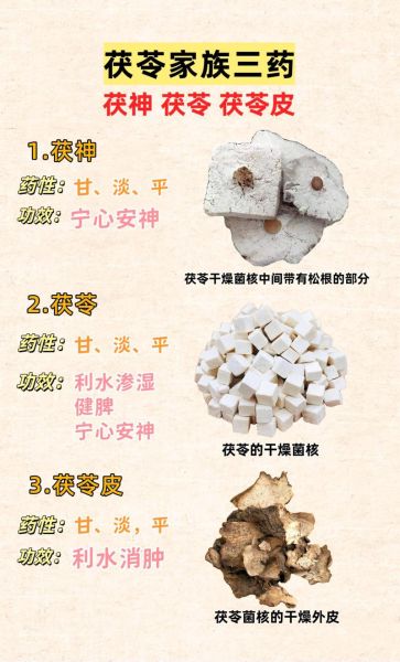 茯苓的禁忌人群有哪些_茯苓副作用会持续多久-第1张图片-山城妙识