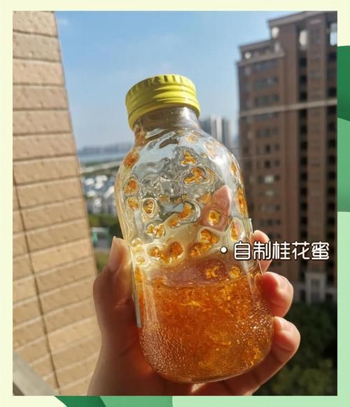 新鲜桂花怎么做桂花蜜_自制桂花蜜保存多久-第3张图片-山城妙识