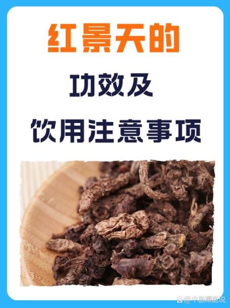 红景天怎么吃效果最好_红景天服用方法-第1张图片-山城妙识