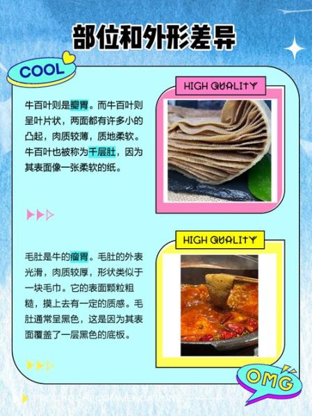 百叶和毛肚的区别_哪个更好吃-第1张图片-山城妙识