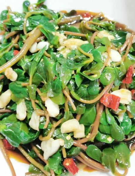 马齿苋怎么吃法_马齿苋凉拌怎么做-第1张图片-山城妙识