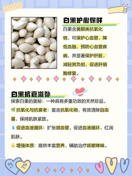 白果的营养价值_白果的药用价值有哪些-第3张图片-山城妙识