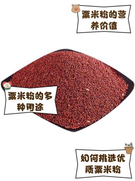 粟米粉可以做哪些糕点_粟米粉糕点做法大全-第3张图片-山城妙识