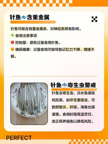 钢针鱼学名是什么_钢针鱼学名怎么读-第1张图片-山城妙识 钢针鱼学名是什么_钢针鱼学名怎么读-第1张图片-山城妙识