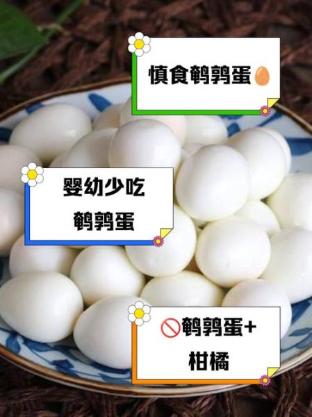 吃鹌鹑蛋的禁忌_鹌鹑蛋不能和什么一起吃-第1张图片-山城妙识