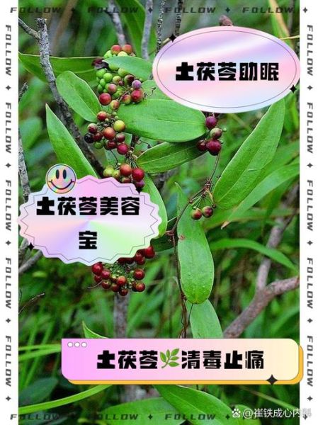女人长期吃茯苓的好处_茯苓对女性的功效与作用-第1张图片-山城妙识 女人长期吃茯苓的好处_茯苓对女性的功效与作用-第1张图片-山城妙识