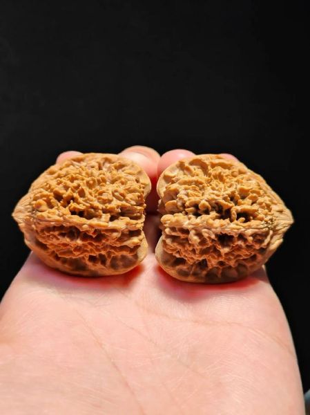 老款狮子头核桃如何鉴别_老款狮子头核桃价格多少-第1张图片-山城妙识 老款狮子头核桃如何鉴别_老款狮子头核桃价格多少-第1张图片-山城妙识