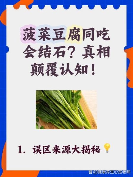 菠菜和豆腐能一起吃吗_会不会结石-第1张图片-山城妙识 菠菜和豆腐能一起吃吗_会不会结石-第1张图片-山城妙识