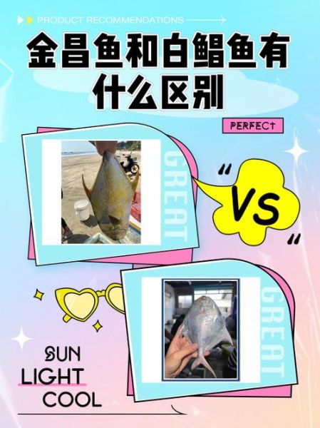 金鲳鱼和白鲳鱼有什么区别_哪个更好吃-第1张图片-山城妙识