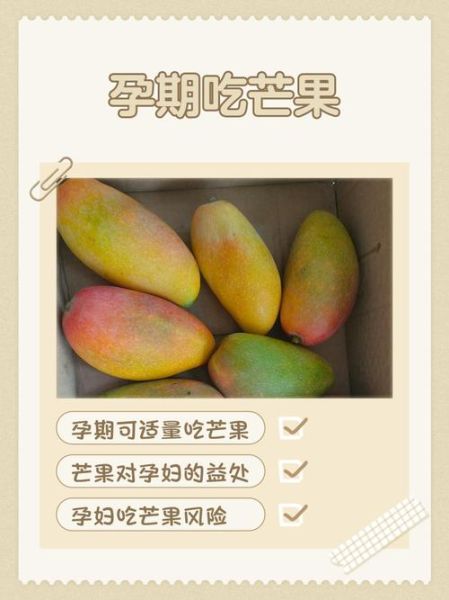 孕妇能吃芒果吗_芒果对胎儿的影响-第1张图片-山城妙识
