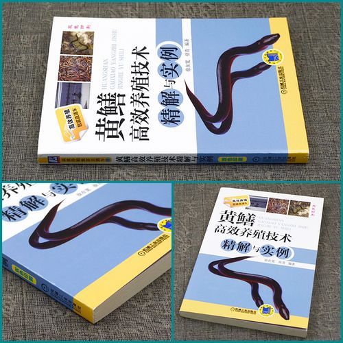 黄鳝养殖技术培训_如何科学提高成活率-第1张图片-山城妙识 黄鳝养殖技术培训_如何科学提高成活率-第1张图片-山城妙识