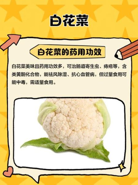 白花菜图片_白花菜和西兰花区别-第3张图片-山城妙识 白花菜图片_白花菜和西兰花区别-第3张图片-山城妙识