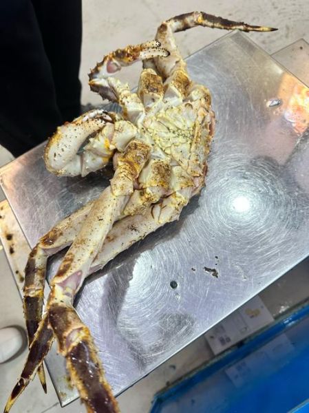 螃蟹怎么杀_螃蟹宰杀步骤图解-第3张图片-山城妙识 螃蟹怎么杀_螃蟹宰杀步骤图解-第3张图片-山城妙识