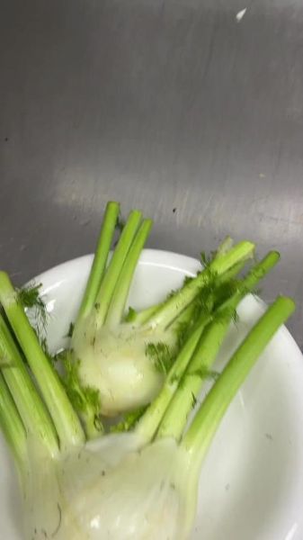 凉拌茴香根怎么做_凉拌茴香根的功效与禁忌-第3张图片-山城妙识 凉拌茴香根怎么做_凉拌茴香根的功效与禁忌-第3张图片-山城妙识