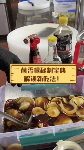 凉拌茴香根怎么做_凉拌茴香根的功效与禁忌-第2张图片-山城妙识 凉拌茴香根怎么做_凉拌茴香根的功效与禁忌-第2张图片-山城妙识