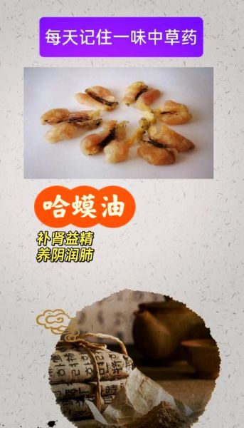 哈士蟆油的功效与作用_哈士蟆油怎么吃最好-第1张图片-山城妙识 哈士蟆油的功效与作用_哈士蟆油怎么吃最好-第1张图片-山城妙识