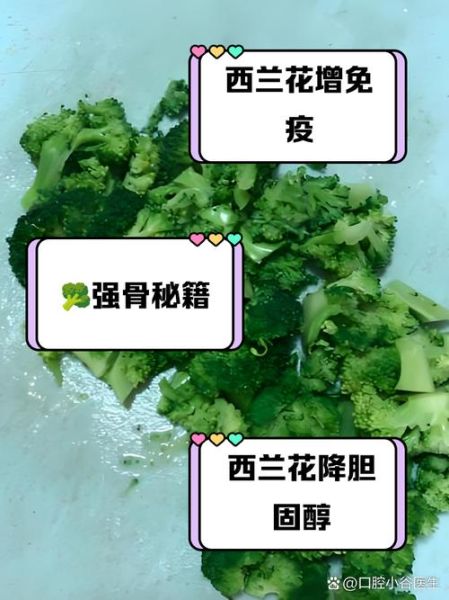 西兰花对孩子的营养价值_西兰花怎么给孩子吃最好-第3张图片-山城妙识 西兰花对孩子的营养价值_西兰花怎么给孩子吃最好-第3张图片-山城妙识