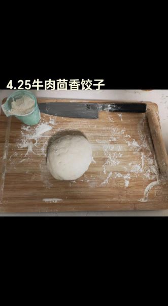 茴香牛肉饺子怎么做_茴香牛肉饺子馅怎么调-第3张图片-山城妙识 茴香牛肉饺子怎么做_茴香牛肉饺子馅怎么调-第3张图片-山城妙识