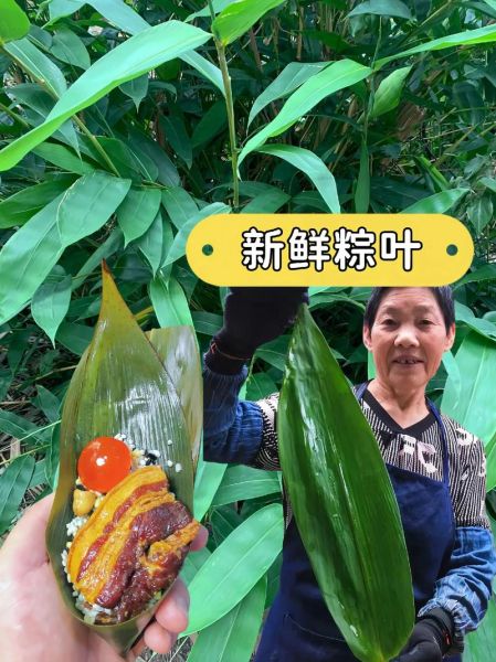包粽子用什么叶子_粽子叶哪种最香-第1张图片-山城妙识 包粽子用什么叶子_粽子叶哪种最香-第1张图片-山城妙识