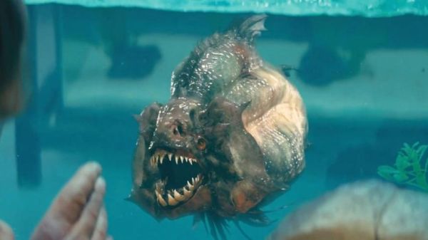 史前最恐怖的10种鱼_它们真的灭绝了吗-第1张图片-山城妙识 史前最恐怖的10种鱼_它们真的灭绝了吗-第1张图片-山城妙识