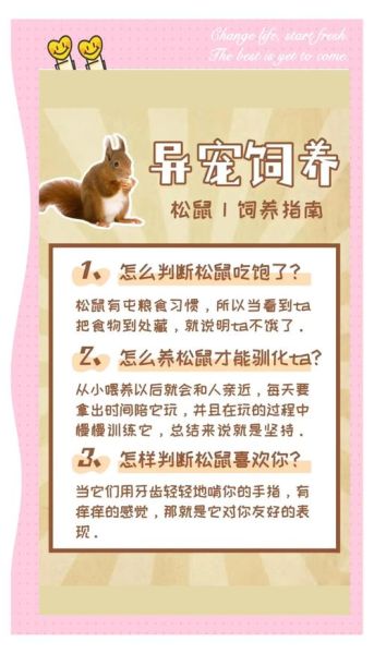 松鼠怎么养_松鼠能活多久-第1张图片-山城妙识 松鼠怎么养_松鼠能活多久-第1张图片-山城妙识