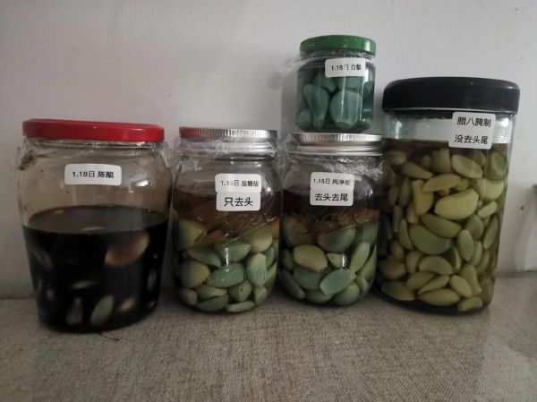 腊八蒜用米醋还是陈醋_哪个更脆绿-第3张图片-山城妙识 腊八蒜用米醋还是陈醋_哪个更脆绿-第3张图片-山城妙识